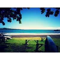 About – Alexandra Mathew